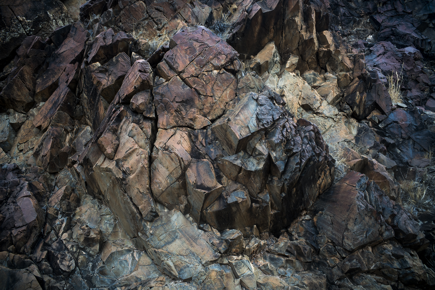 walking in the Blue Mine Creek bed – The Long Road to the North