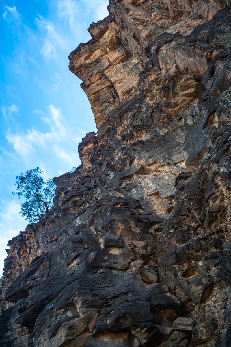 Mt Chambers Gorge – The Long Road to the North