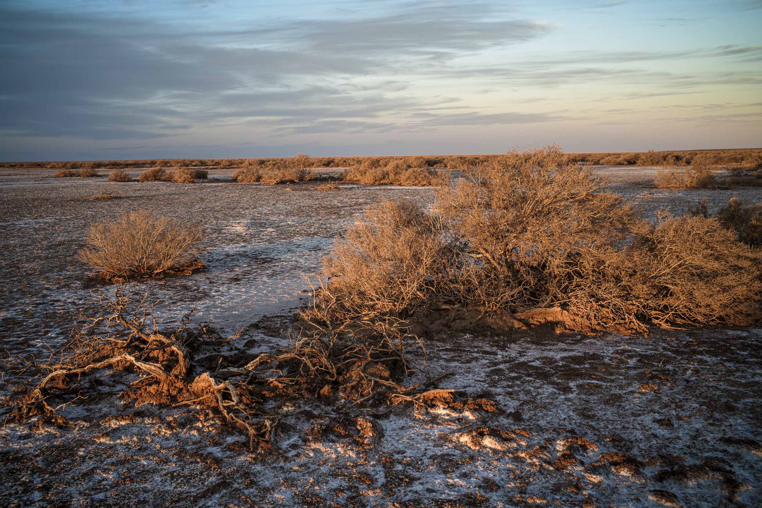 Lake Frome: long history and deep time – The Long Road to the North